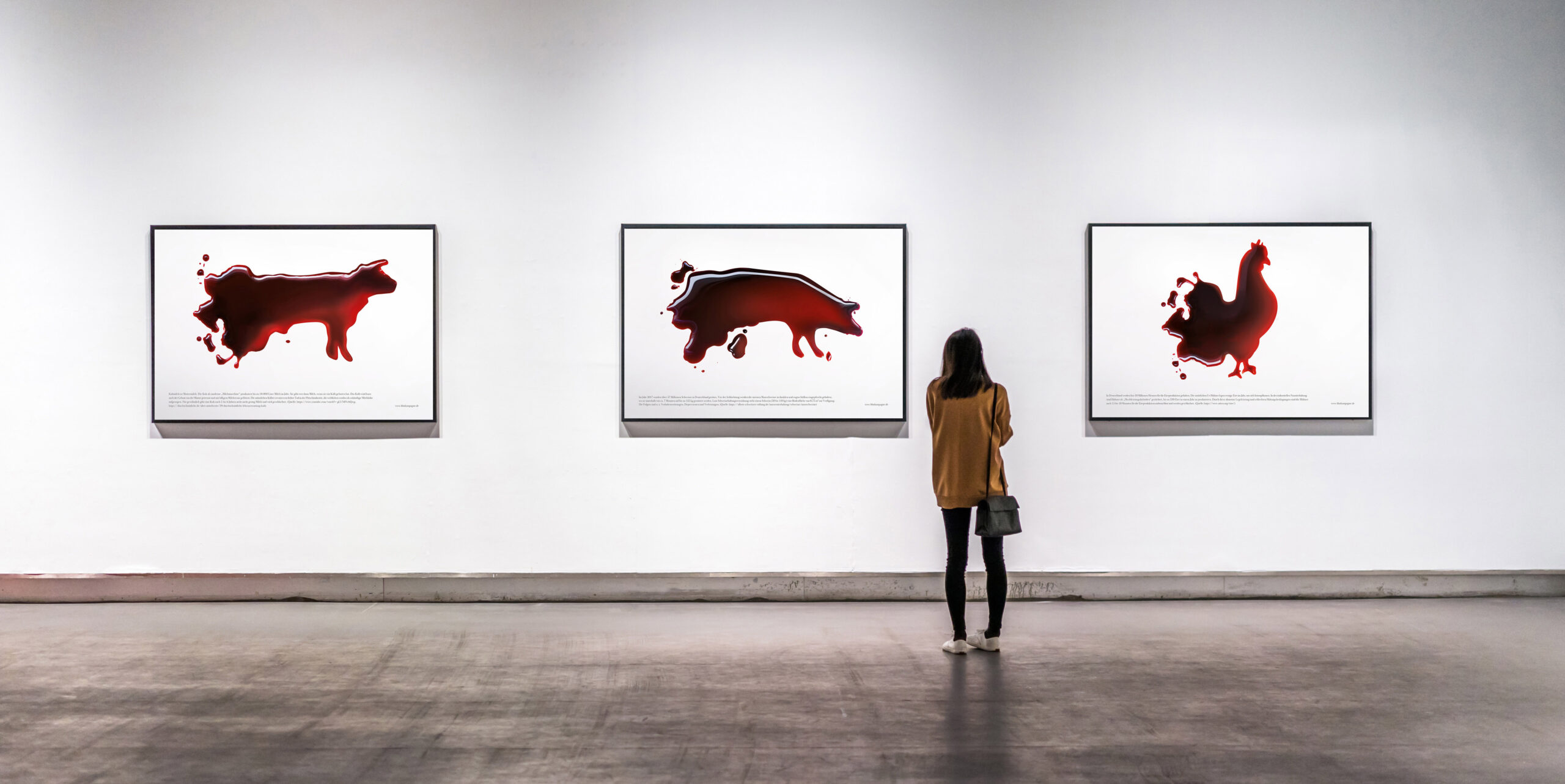 Nermina Basic – communication design